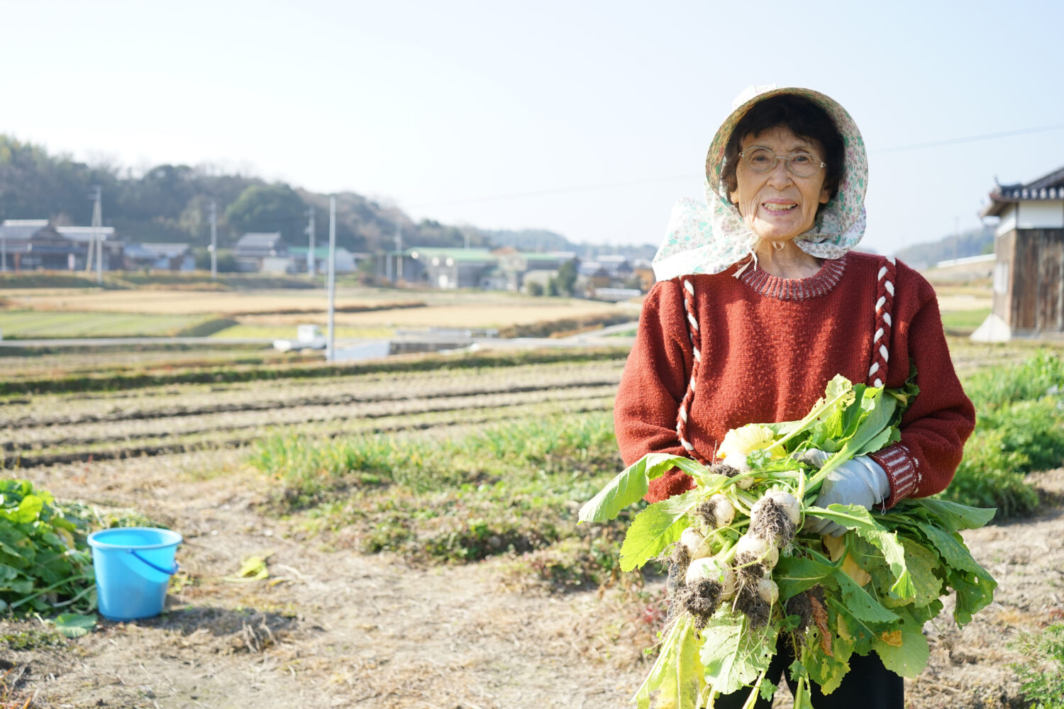 Home - The SCAN Foundation